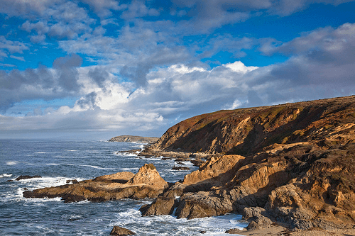 Visiting Bodega Bay - CISL English Language Schools, California